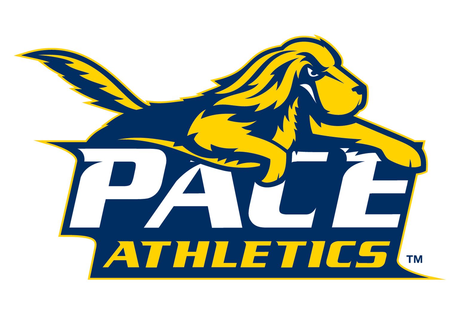 STARS Rehabilitation - Rehabilitation Network | Northwell Health