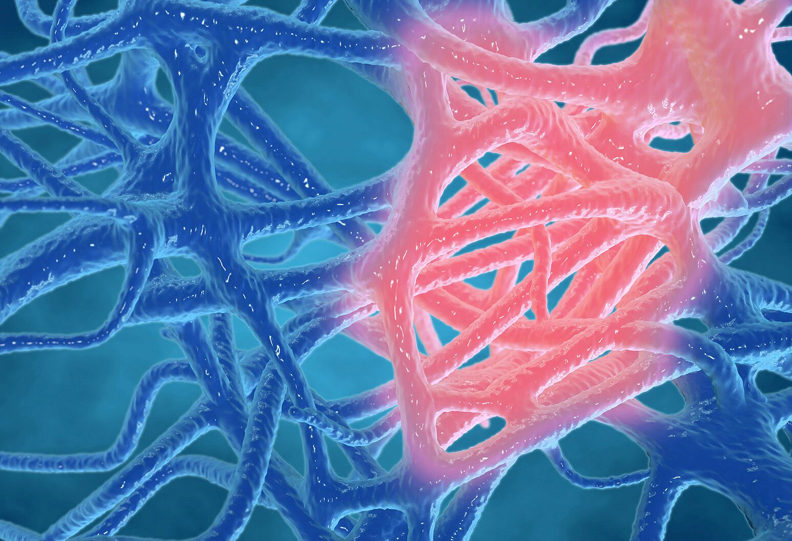 How does chronic inflammation affect your health? | Northwell Health