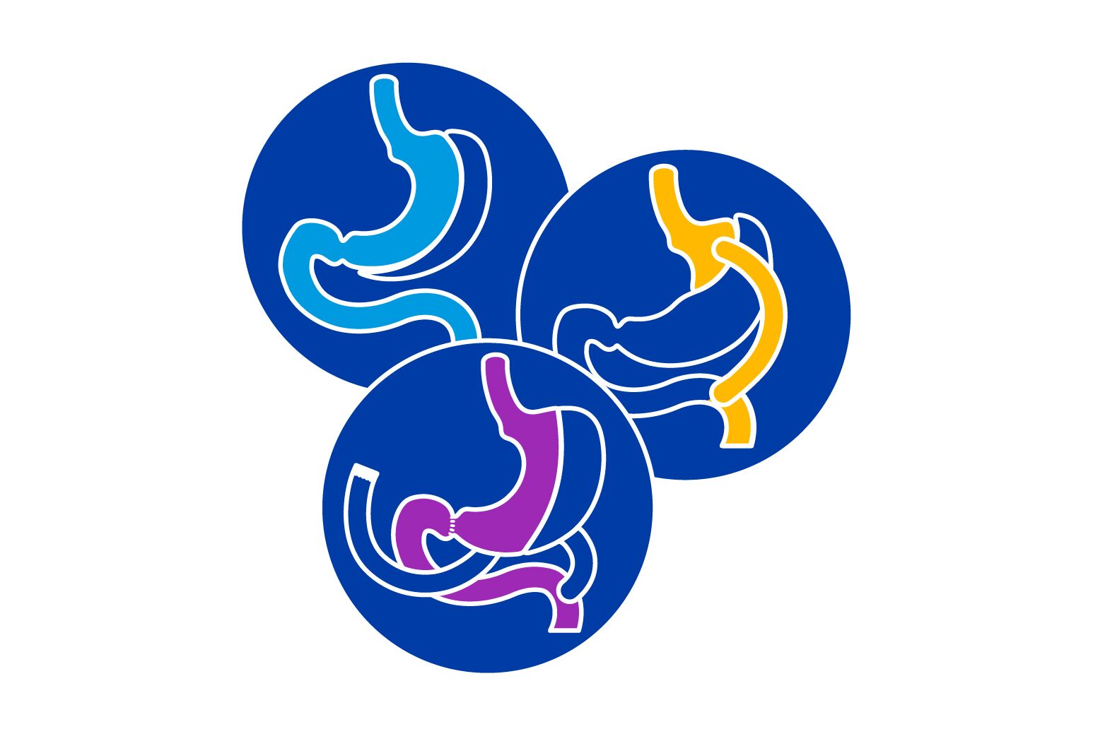 Bariatric surgery - Lenox Hill Hospital | Northwell Health