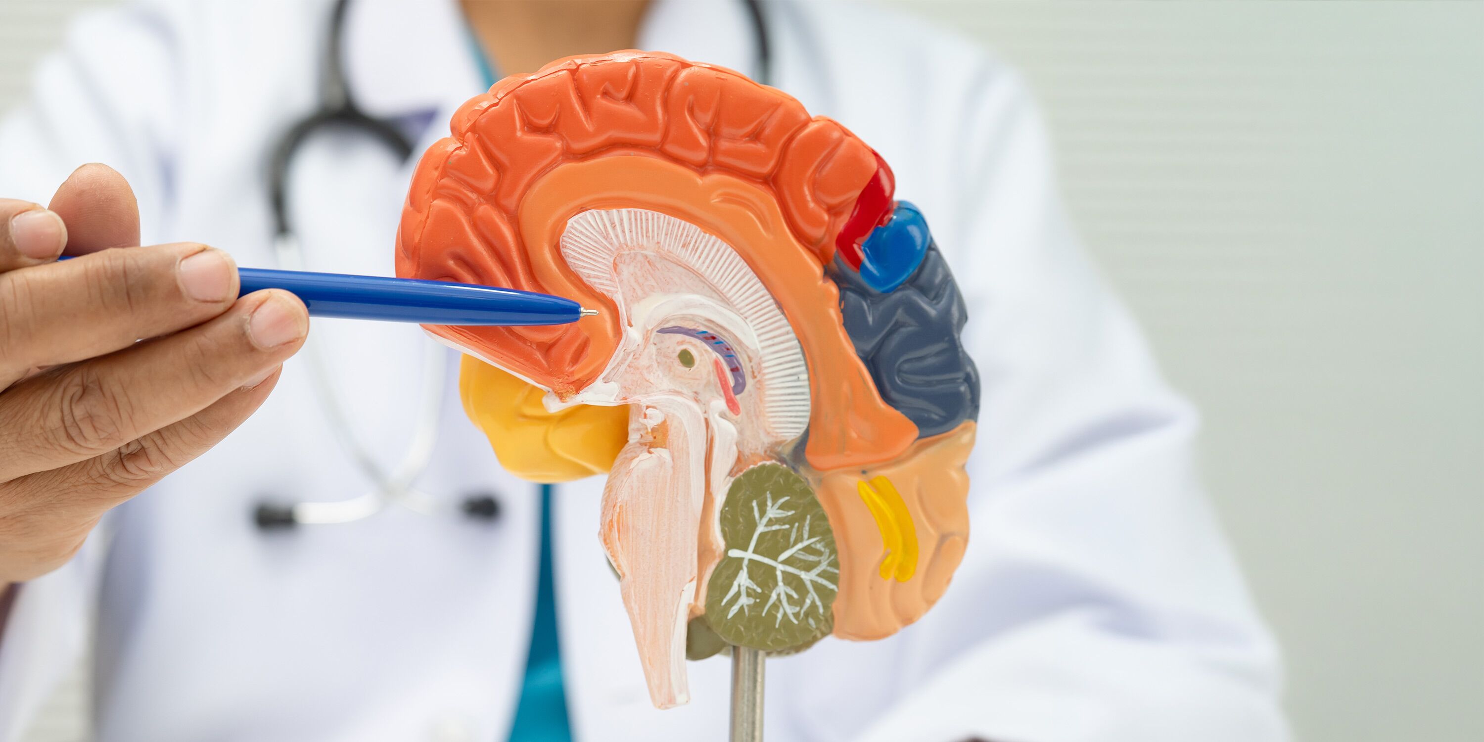 How Much of Our Brain Do We Actually Use? | The Well by Northwell