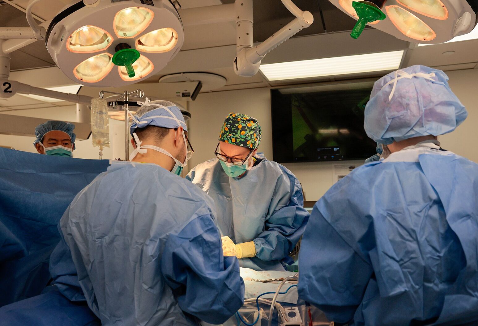 The latest - Newsroom | Northwell Health