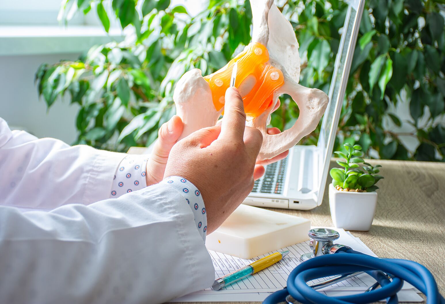 Herniated Disc Exercises You Can Actually Do | The Well by Northwell