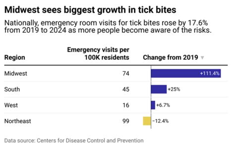 Protecting yourself from disease-carrying ticks | Northwell Health