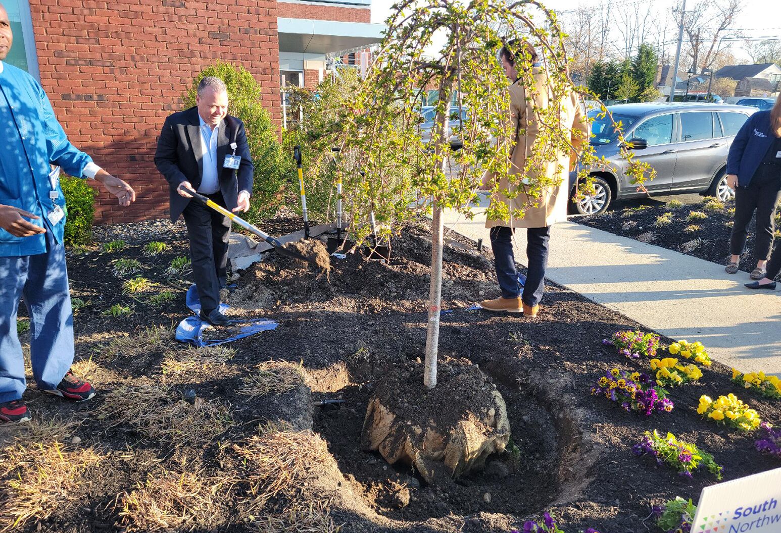 Trees for babies: Northwell to plant 30K trees for 2021 newborns ...