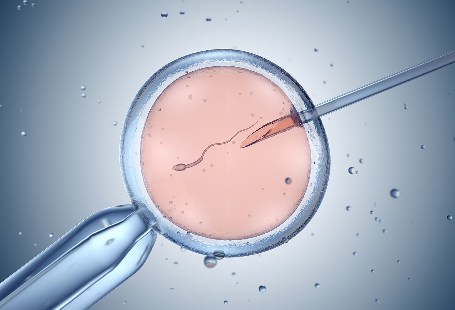 In Vitro Fertilization, Explained: How It Works | The Well by Northwell