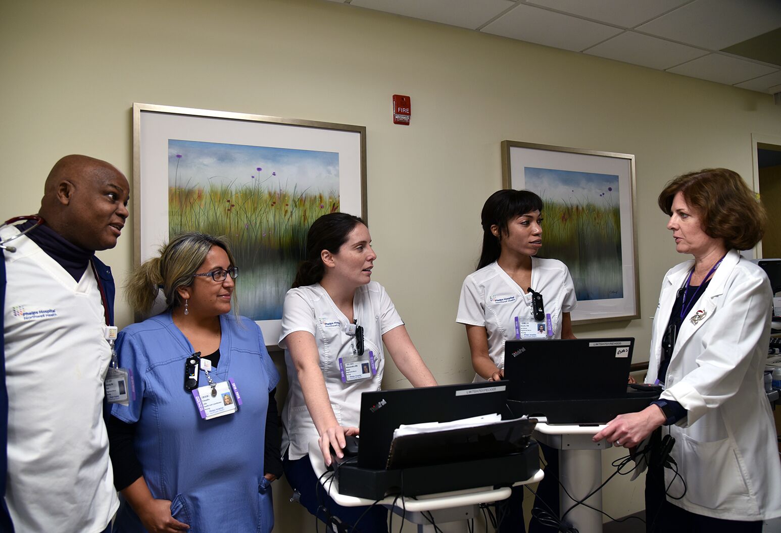 Nursing excellence at Phelps Hospital | Northwell Health