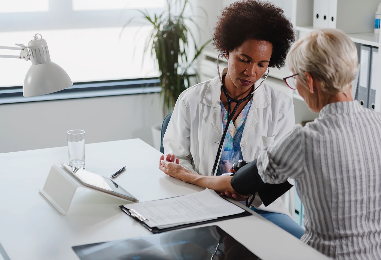 Northwell Health Physician Partners Cardiology at Great Neck ...