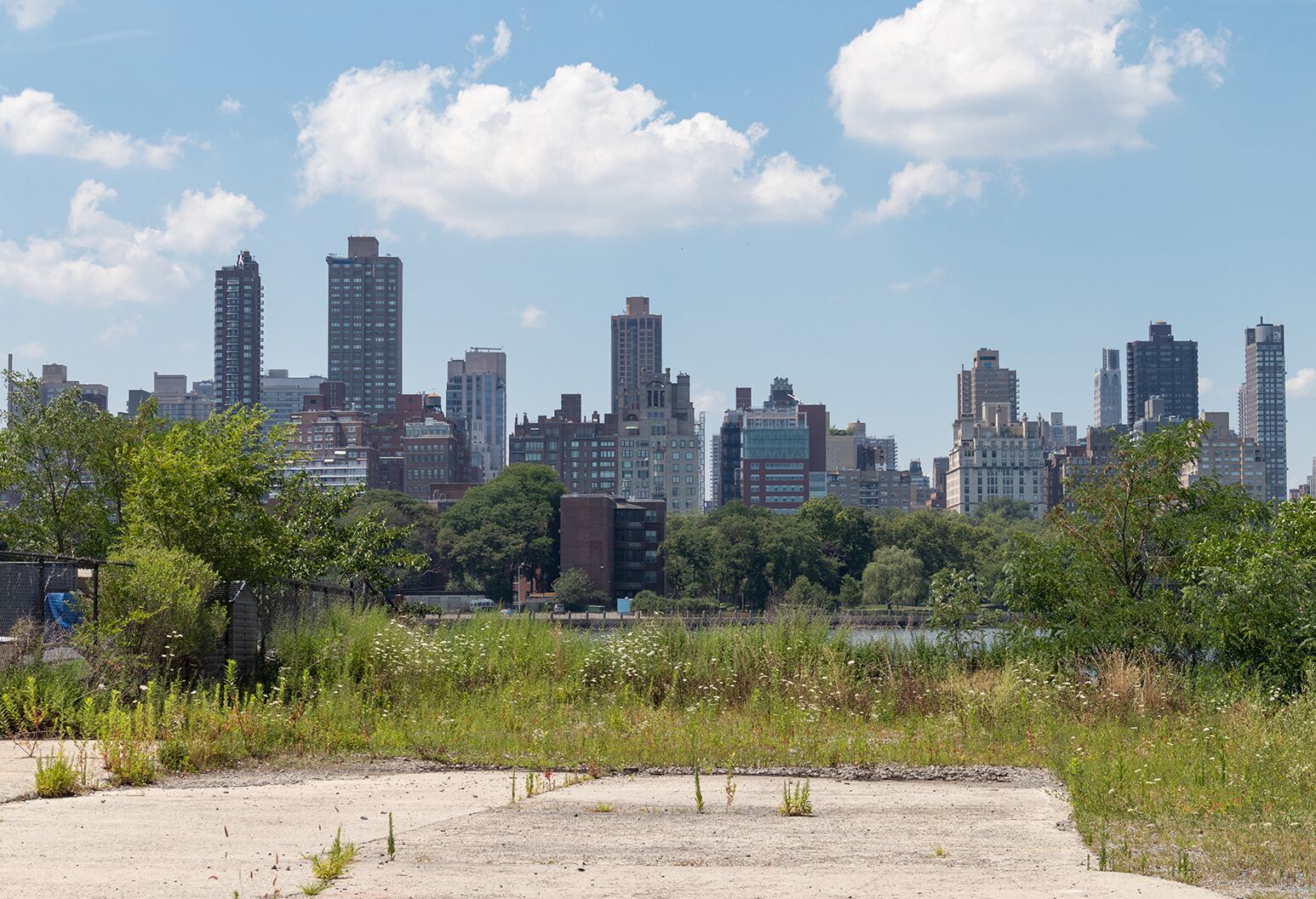 Northwell Direct | Occupational Health and Wellness Services