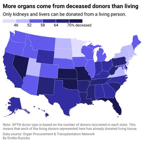 Who is most likely to donate organs in the US? | Northwell Health