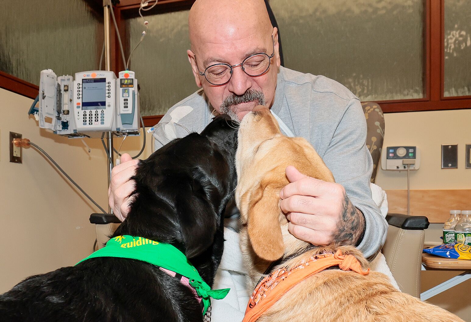 Photo Essay: How Service Dogs Support Patients | The Well by Northwell