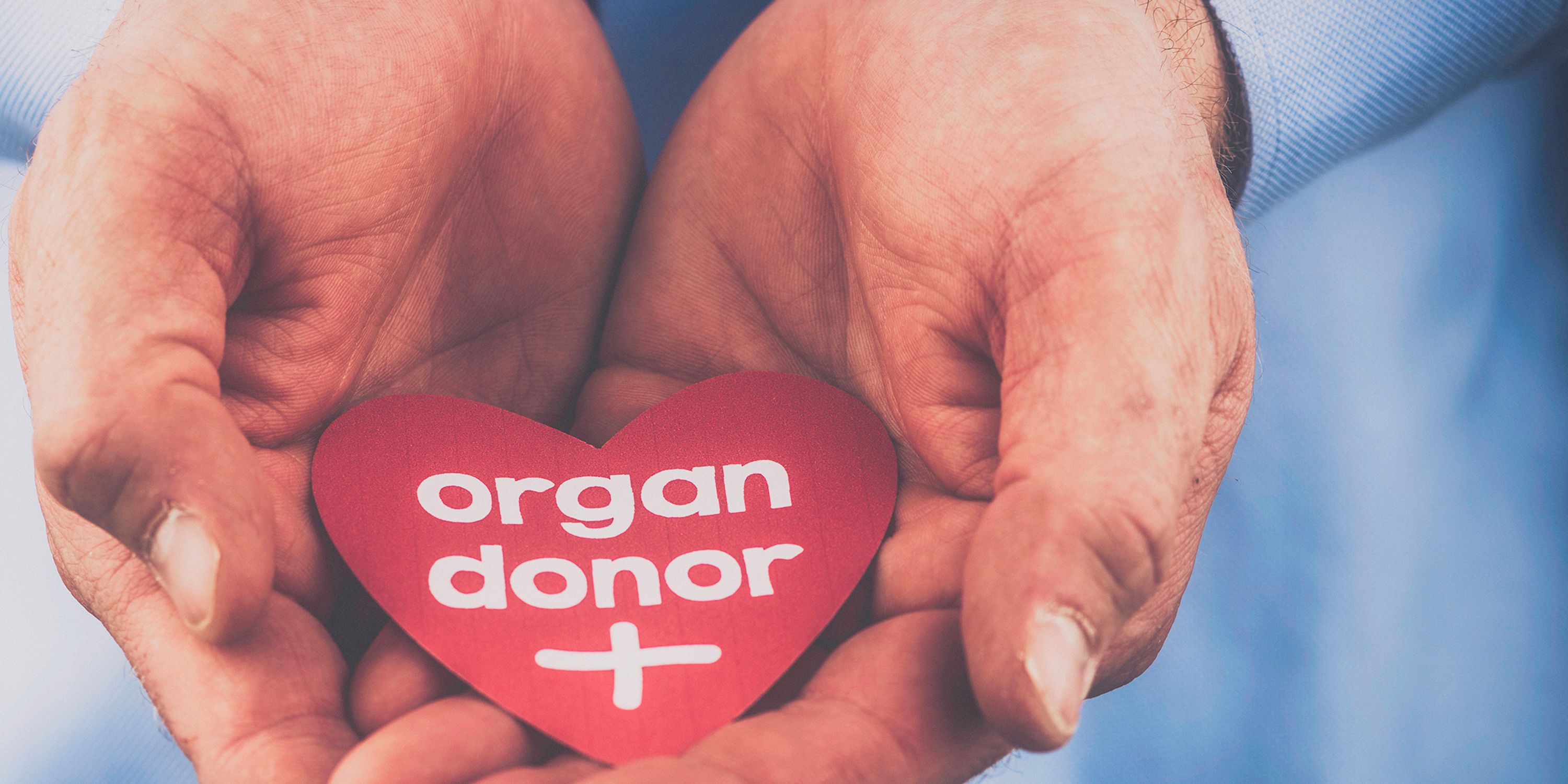 Organ donation is beautiful | Northwell Health