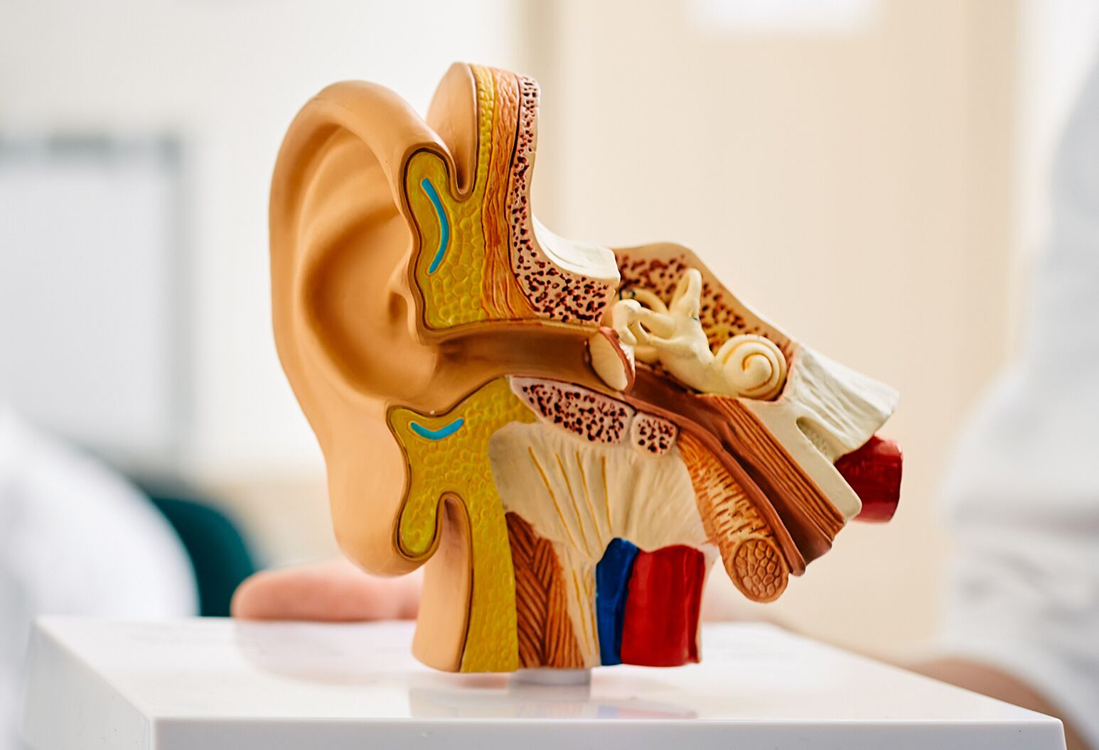 Post nasal drip: Causes, symptoms and treatments | Northwell Health