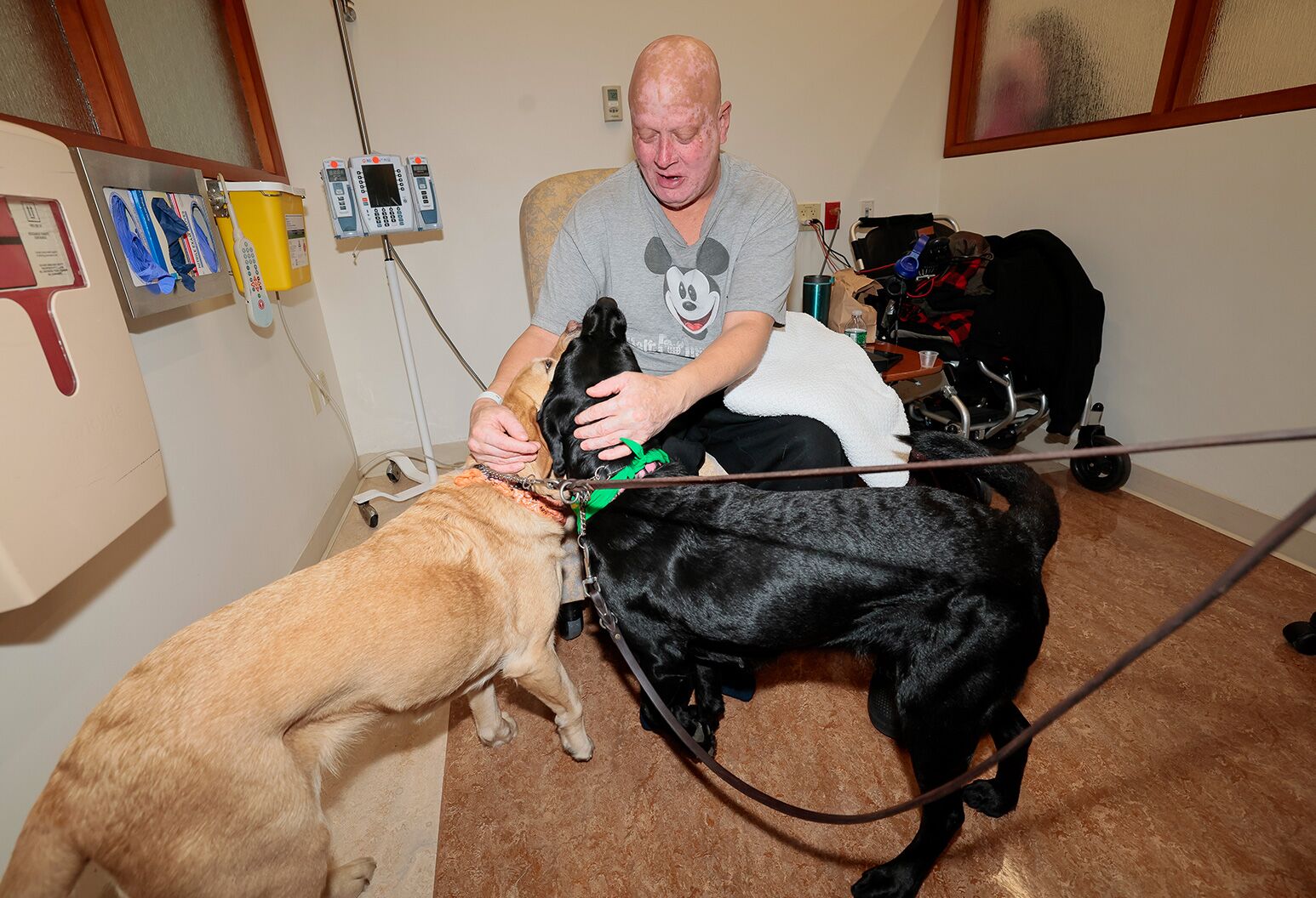 Photo Essay: How Service Dogs Support Patients | The Well by Northwell