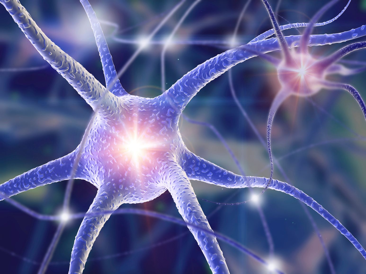 Center for Bioelectronic Medicine | Northwell Health