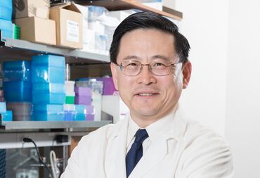 Ping Wang, MD | Feinstein Institutes for Medical Research