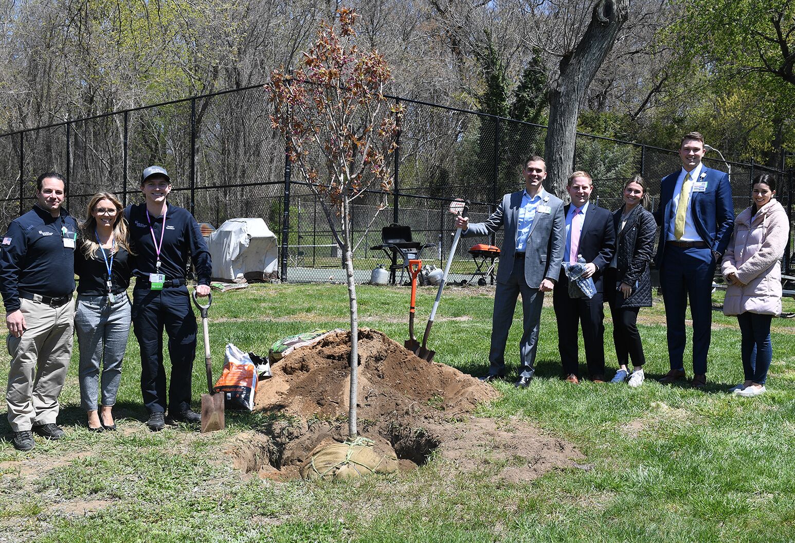 Trees for babies: Northwell to plant 30K trees for 2021 newborns ...
