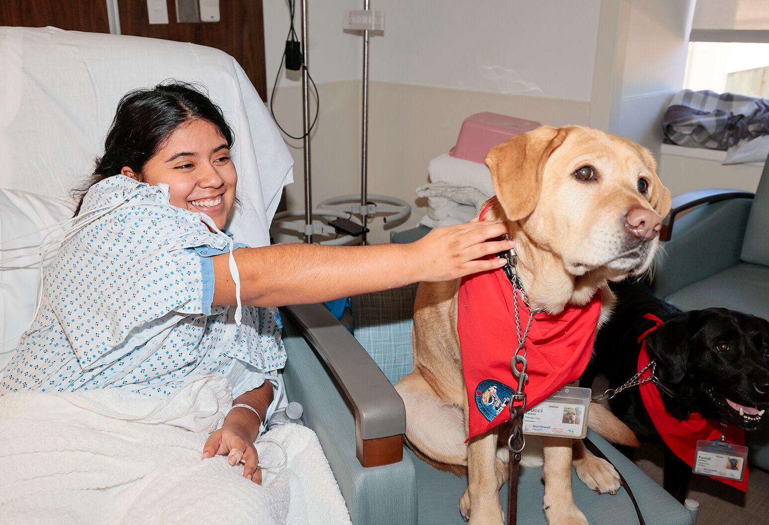 Photo Essay: How Service Dogs Support Patients | The Well by Northwell
