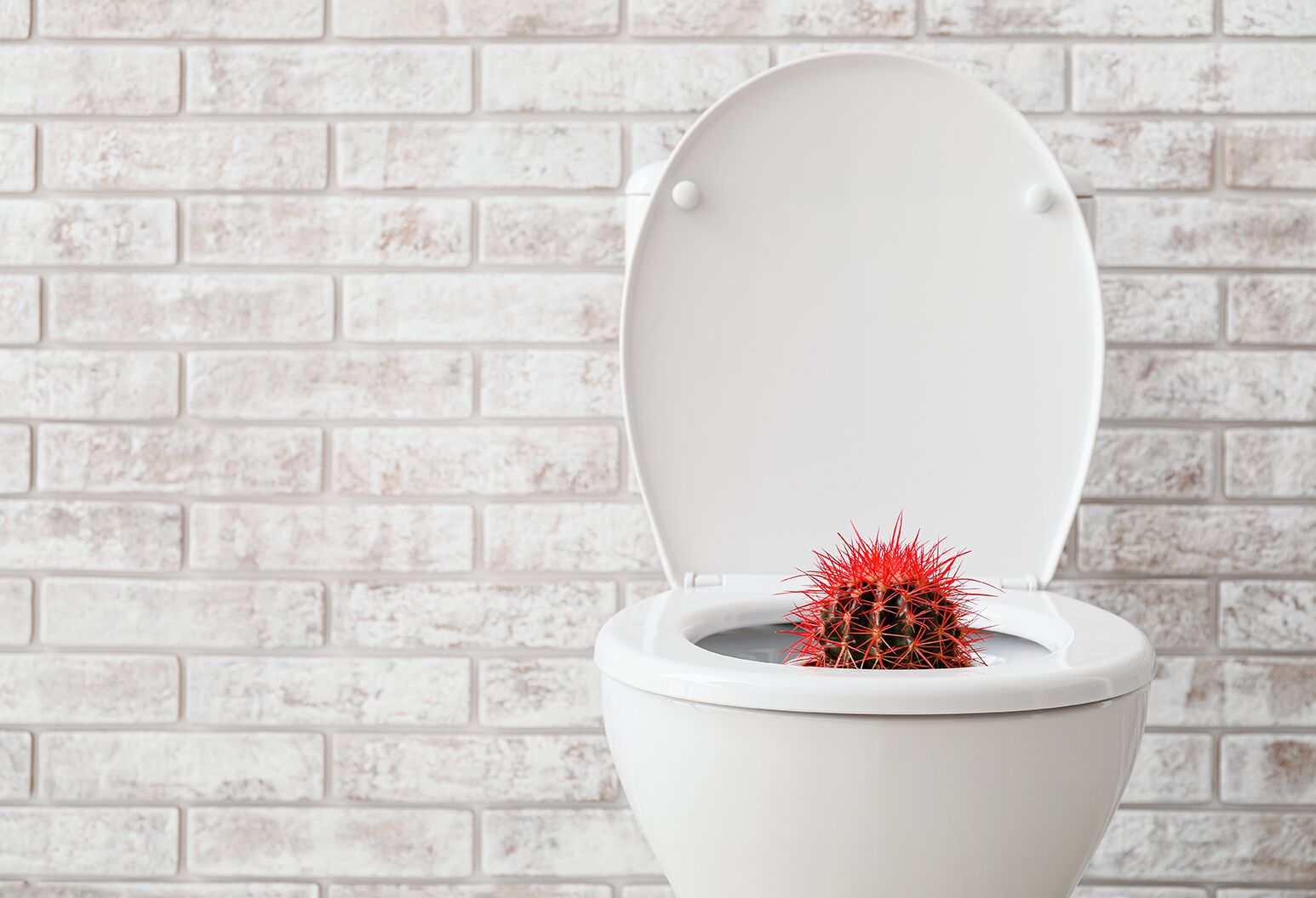 When To Worry About Your Hemorrhoids | The Well by Northwell