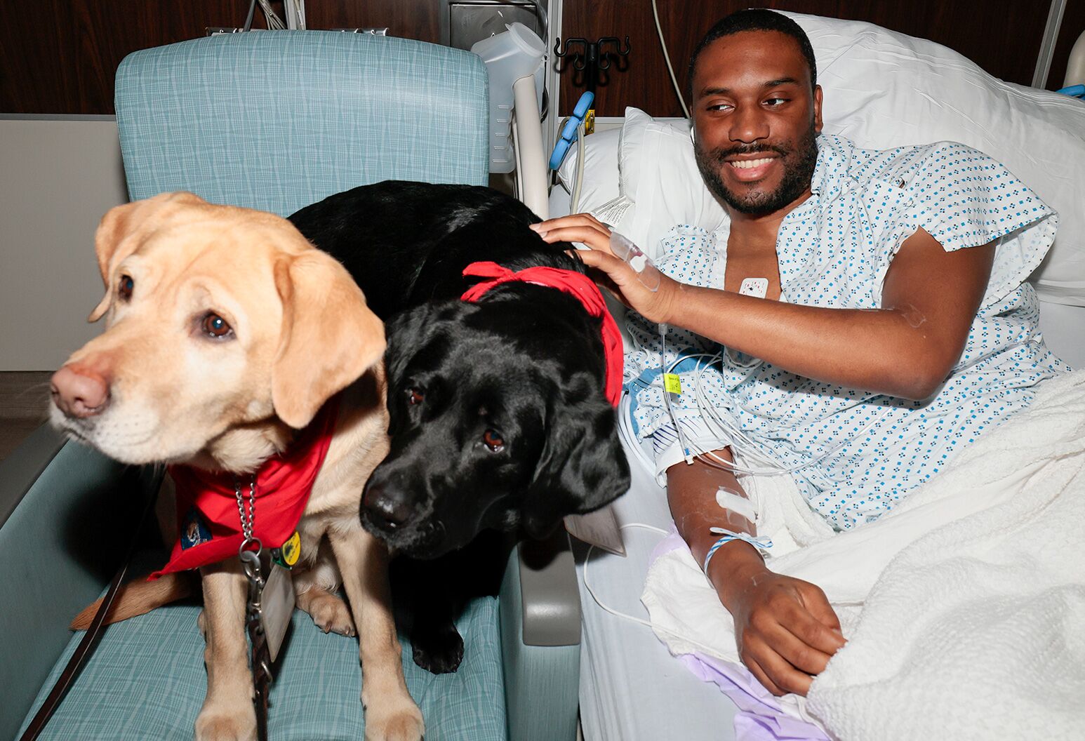 Photo Essay: How Service Dogs Support Patients | The Well by Northwell