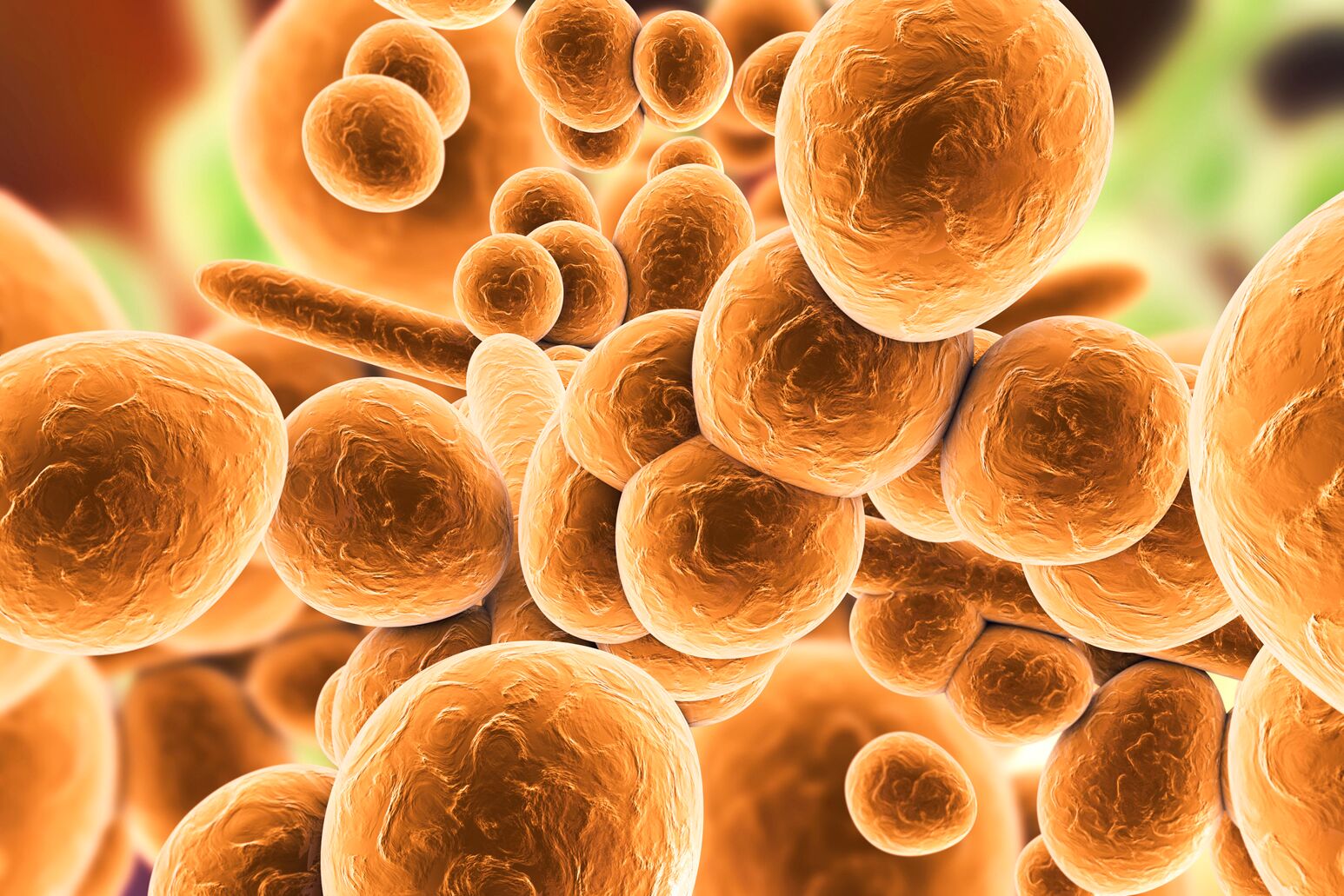 Robots with ultra-bright lights deployed in fight against deadly fungus ...