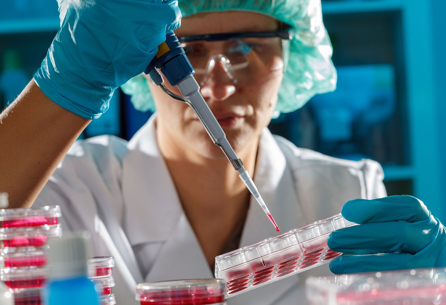 Cellular therapy - Transplant and cellular therapy - Cancer Institute ...