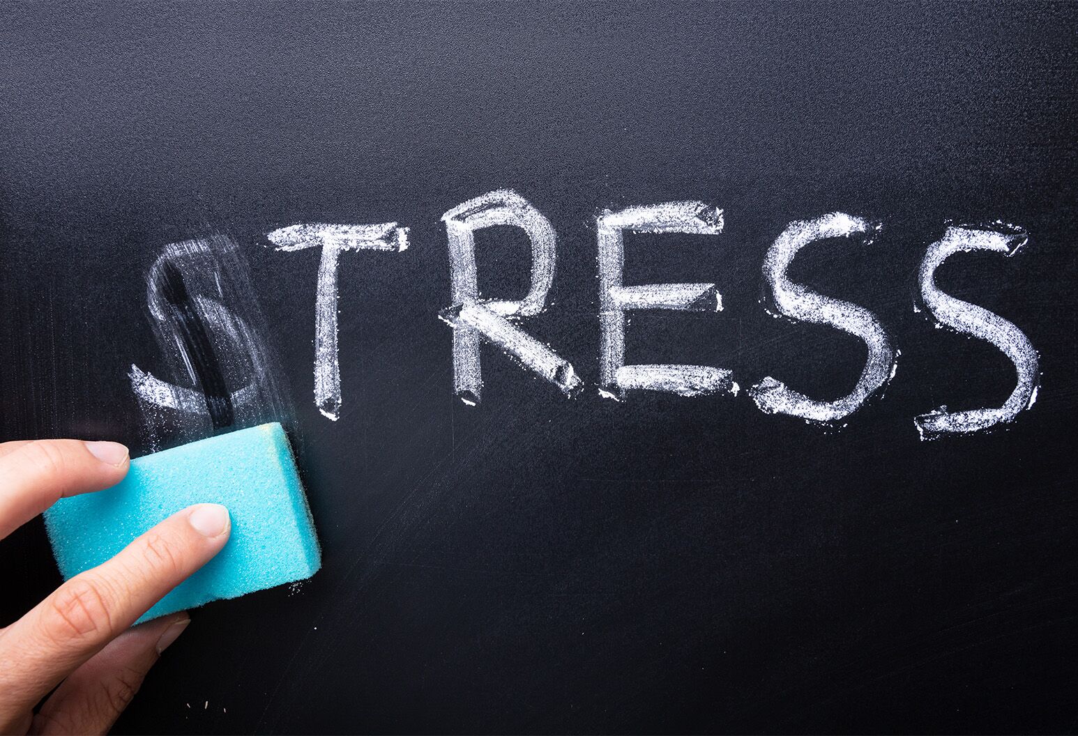 Harness Stress To Boost Your Immune System | The Well by Northwell