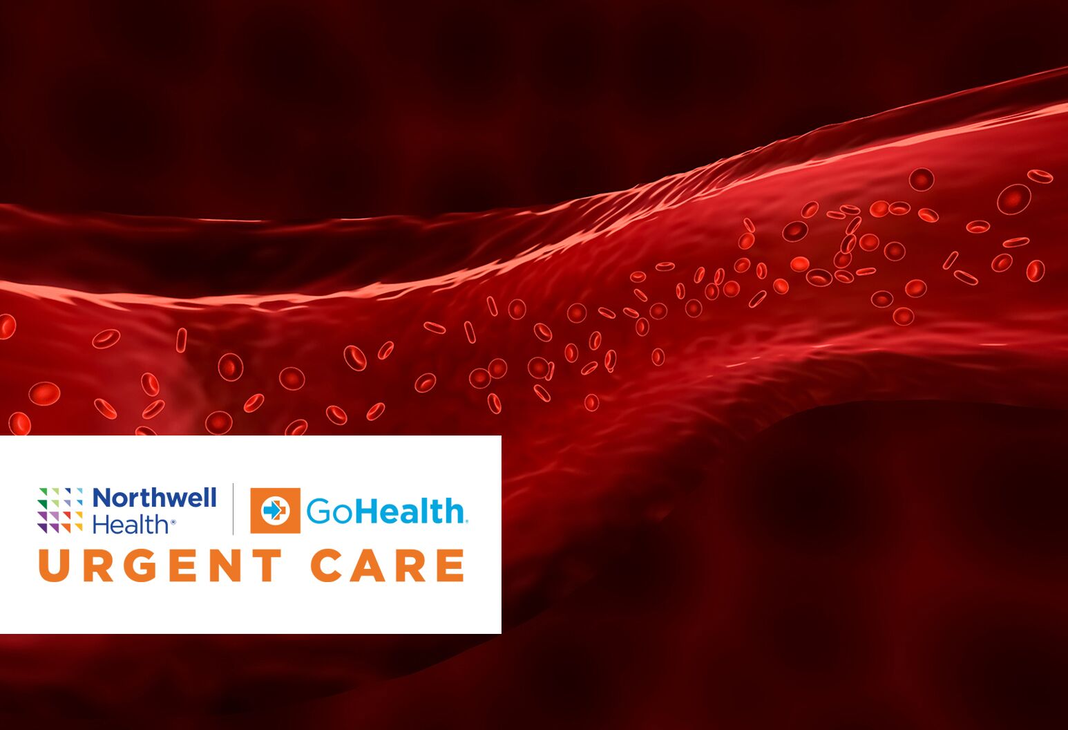 Anemia Causes And What Low Hemoglobin Means The Well By Northwell