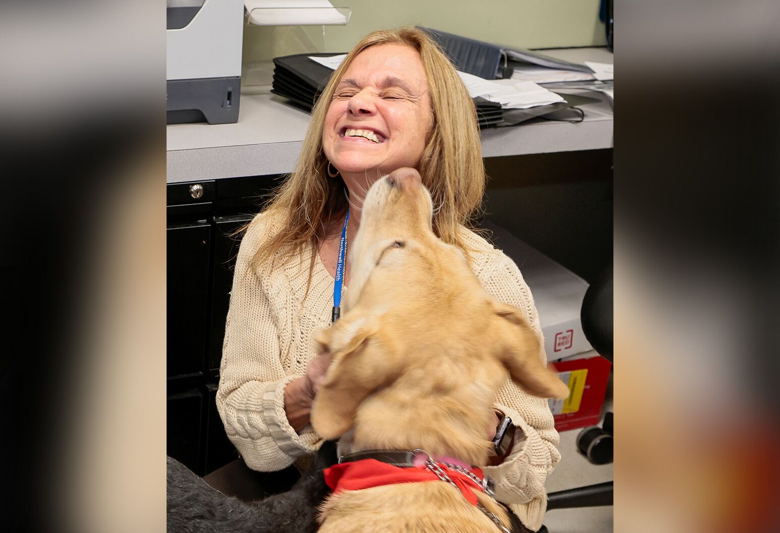 Photo Essay: How Service Dogs Support Patients | The Well by Northwell