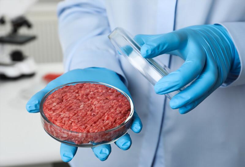 Is Synthetic Meat Actually Safe? | The Well by Northwell