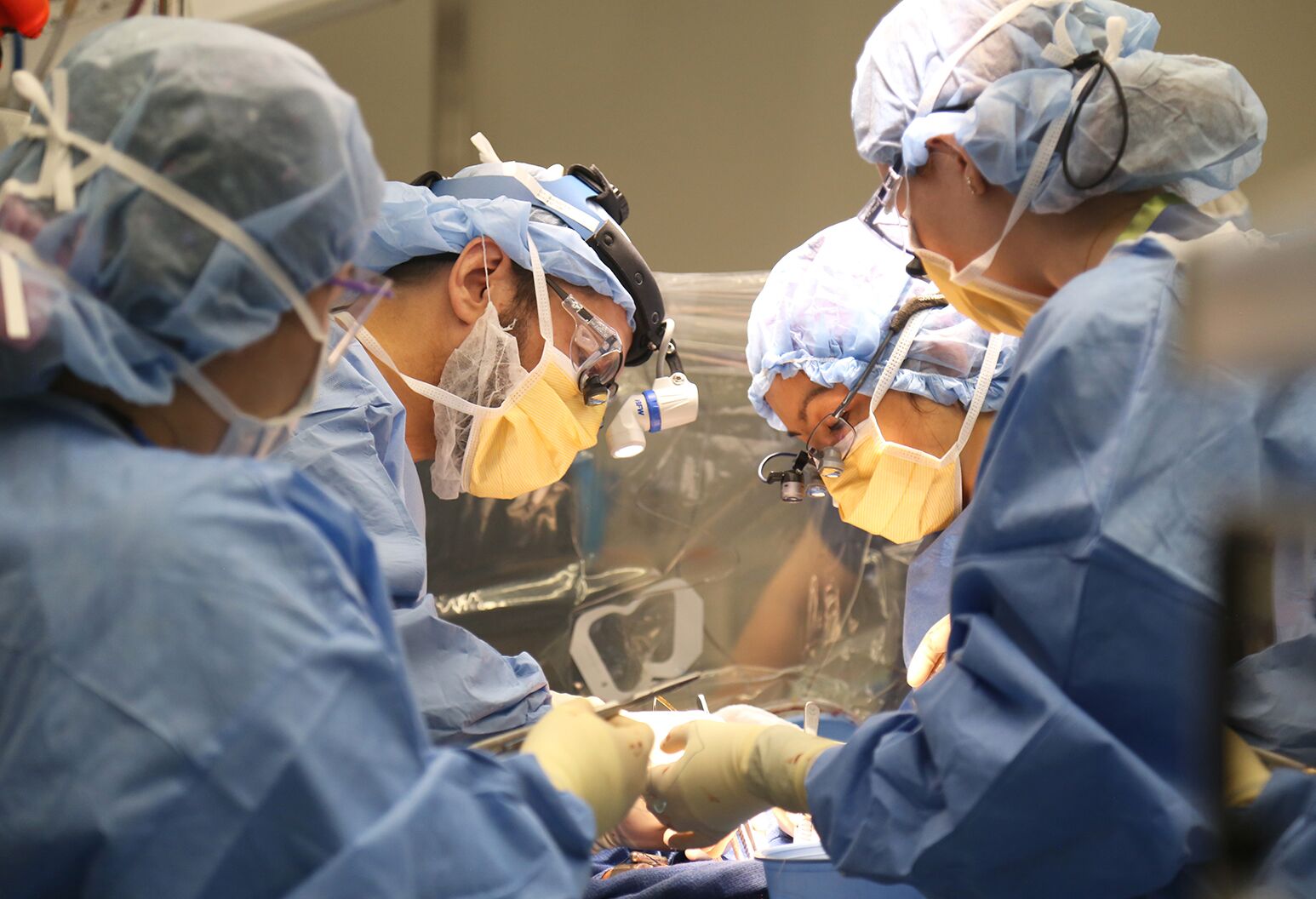 Center for Vascular Disease - Cardiovascular Institute | Northwell Health