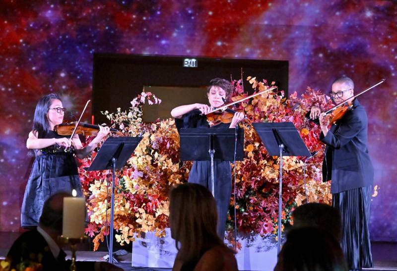 Constellation Gala | Northwell Foundation